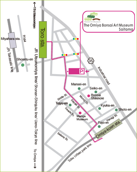The Omiya Bonsai Art Museum, Saitama