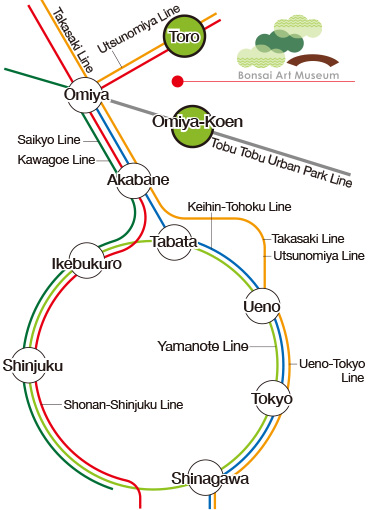 The Omiya Bonsai Art Museum, Saitama