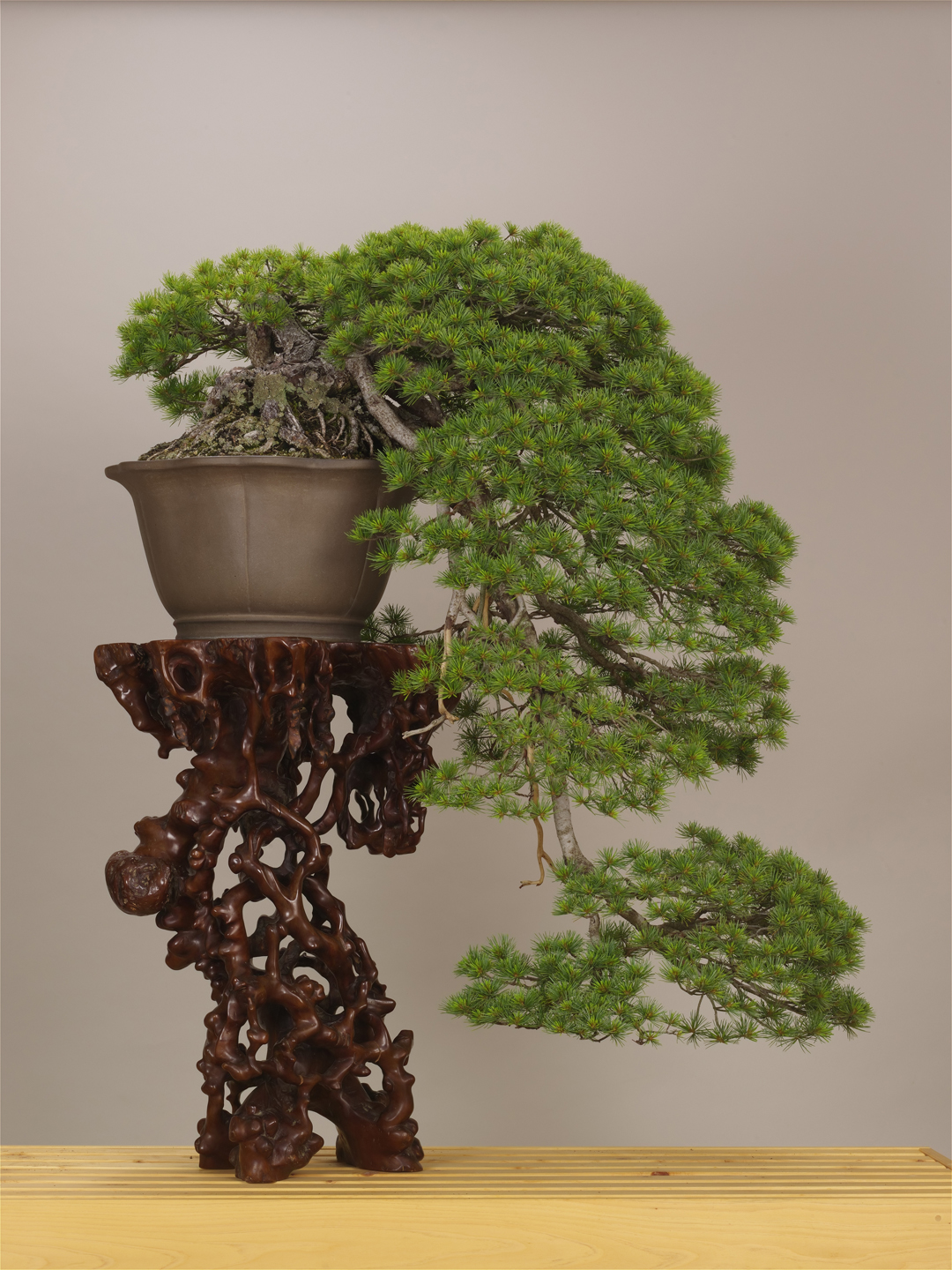 The Omiya Bonsai Art Museum, Saitama